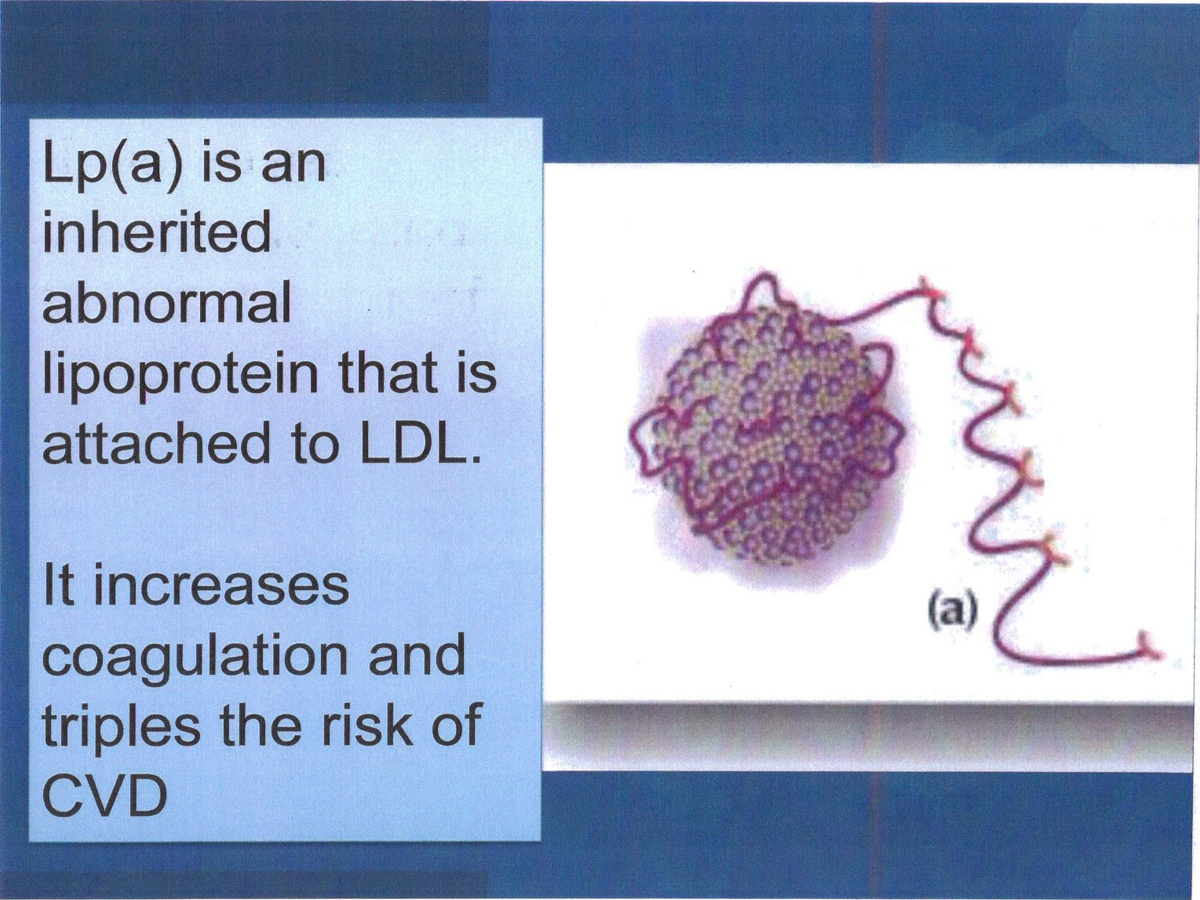 Lipoprotein A - Lp(a) - Health Insight